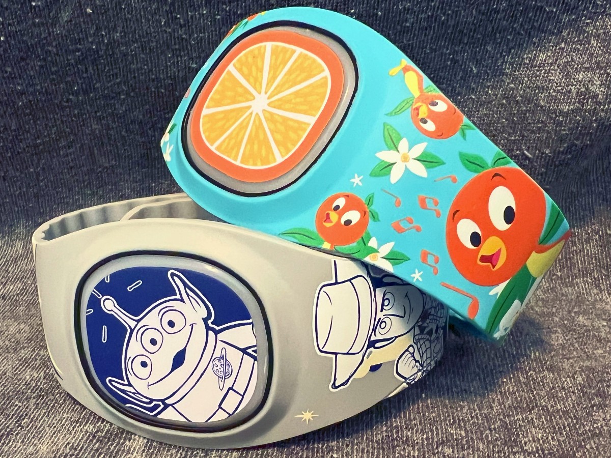 Disney Magic Band Setup Guide: Step-by-Step Instructions - Magical ...